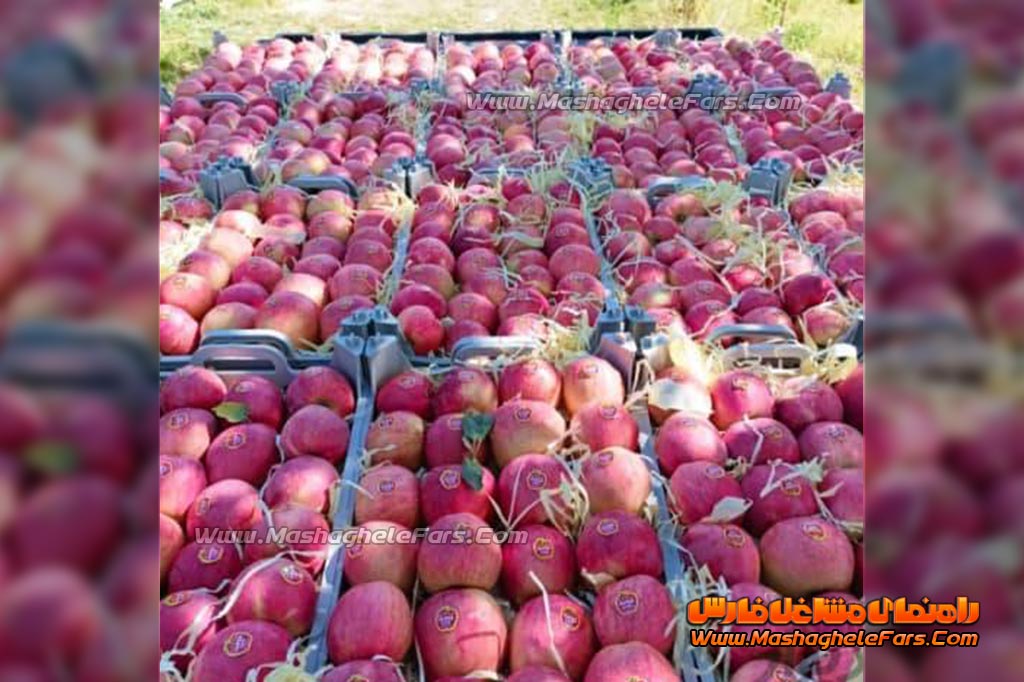 شرکت پخش زرین پخش سبحان - ️راهنمای مشاغل فارس ( مشاغل شیراز )